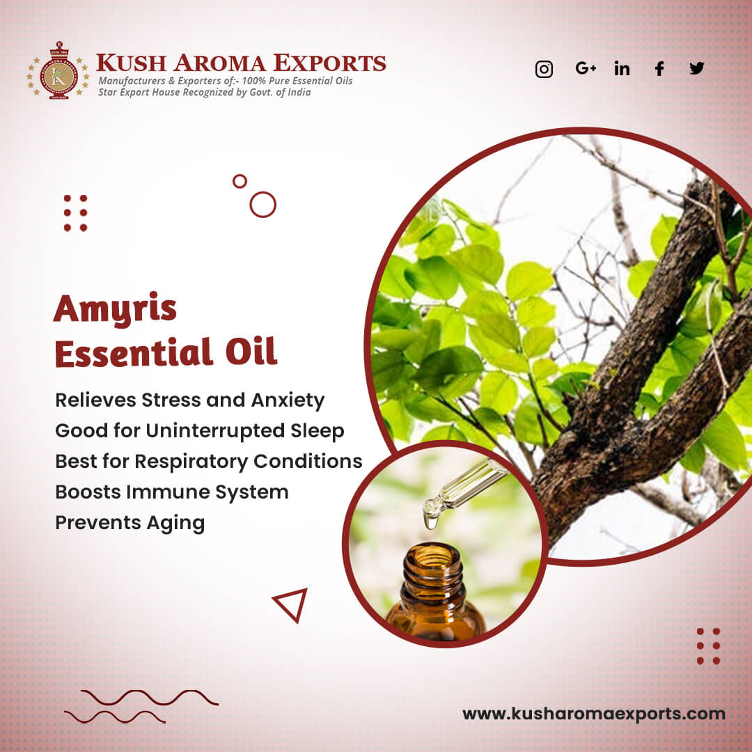 Health Benefits of Amyris Essential Oil